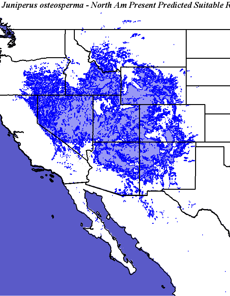 Juniperus Virginiana Range Map